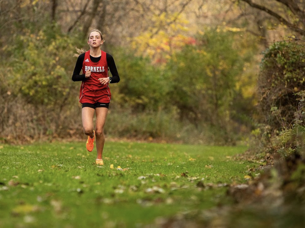 Several local teams complete in Hornell Cross Country meet, (story and ...