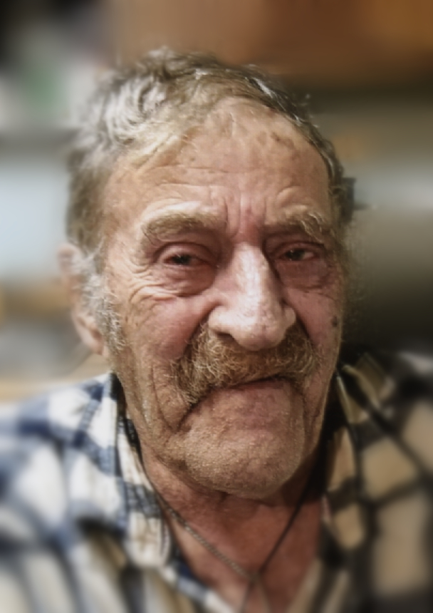 Ferd R. Sekoll, 89, Greenwood - The HORNELL SUN