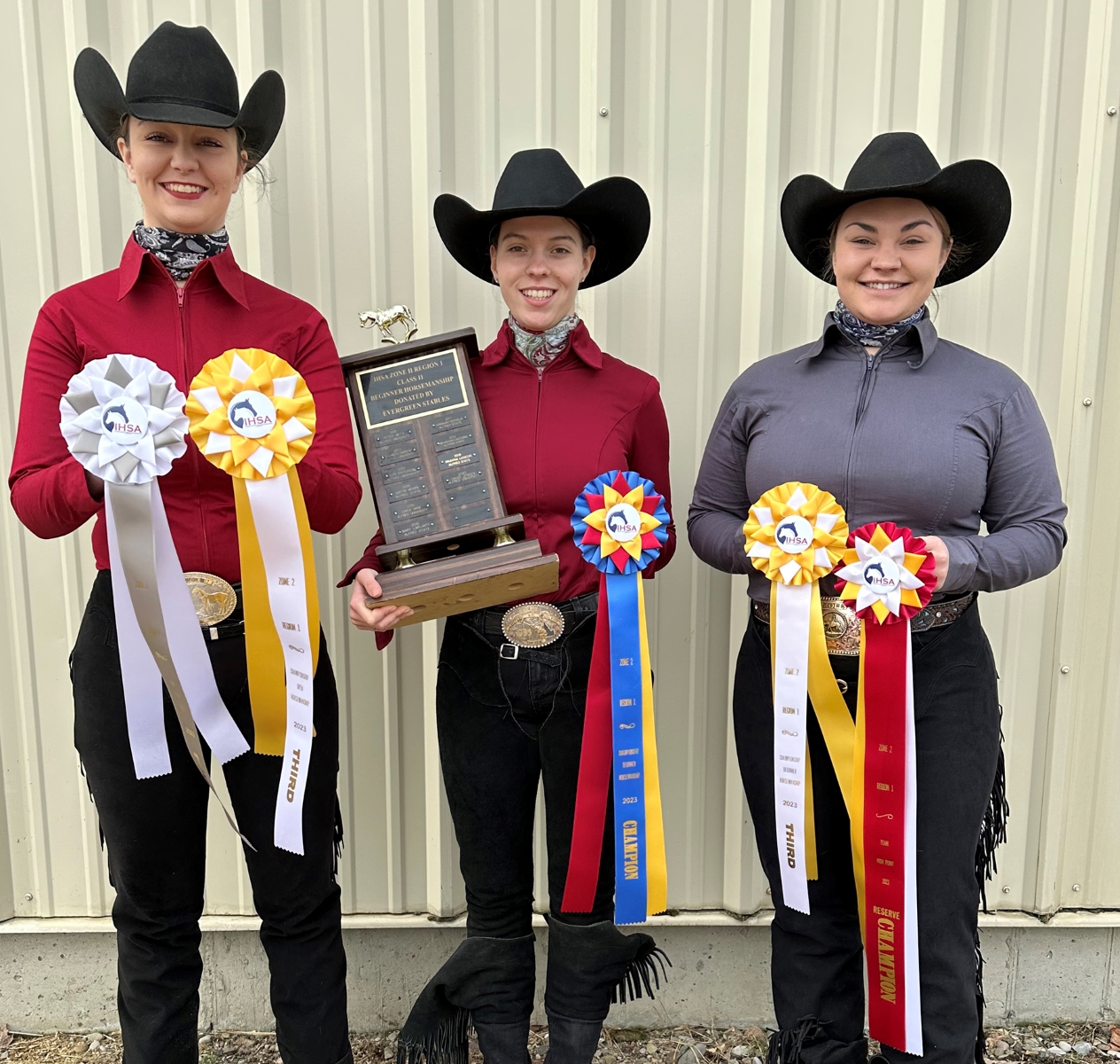 Jessalyn Corson advances to IHSA Semifinals - The HORNELL SUN