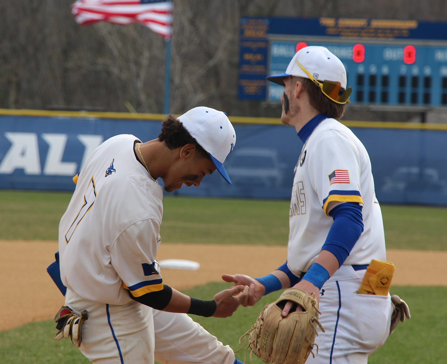 Baseball team to host AMCC Championships - The HORNELL SUN