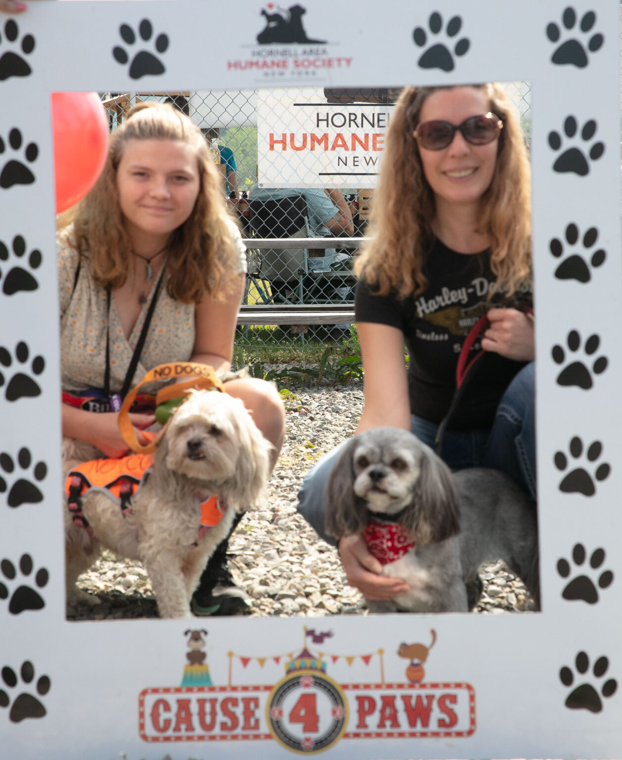 Hornell Humane Society "Cause for Paws" event is a big success: View ...