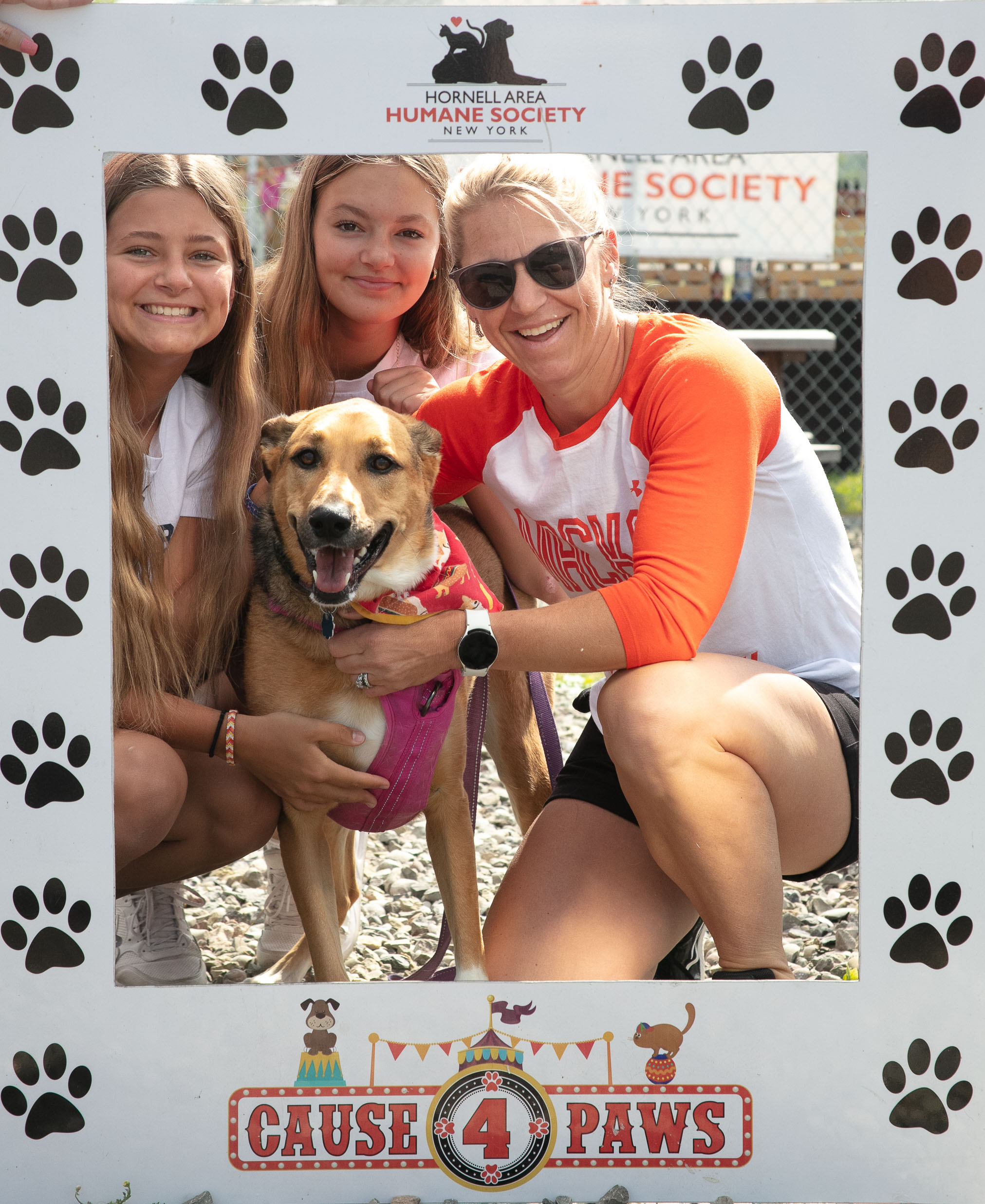 Hornell Humane Society "Cause for Paws" event is a big success: View ...