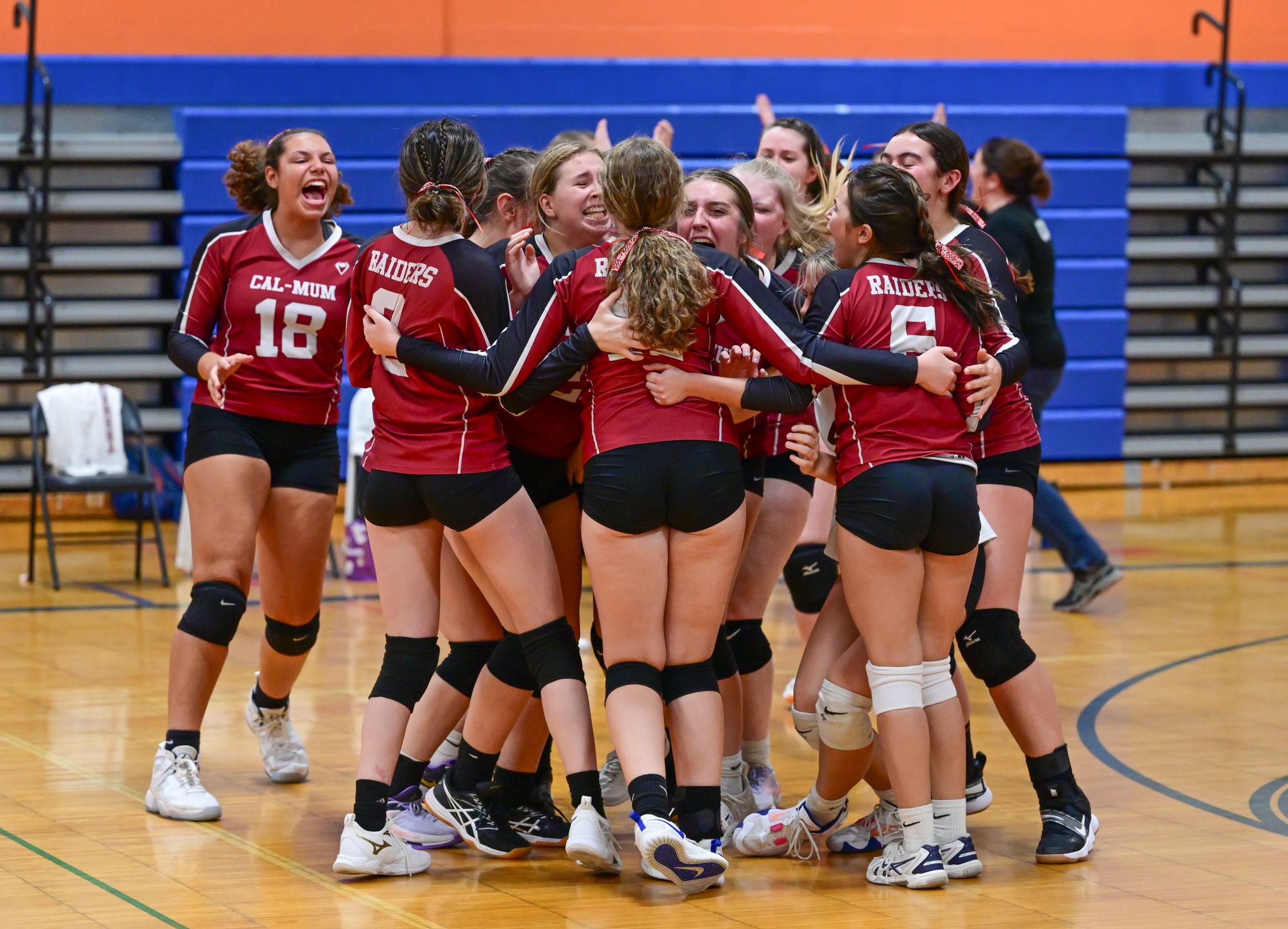 LCAA's FINEST: Kessler, Drakowski, Bellos lead Cal-Mum VB past Livonia ...