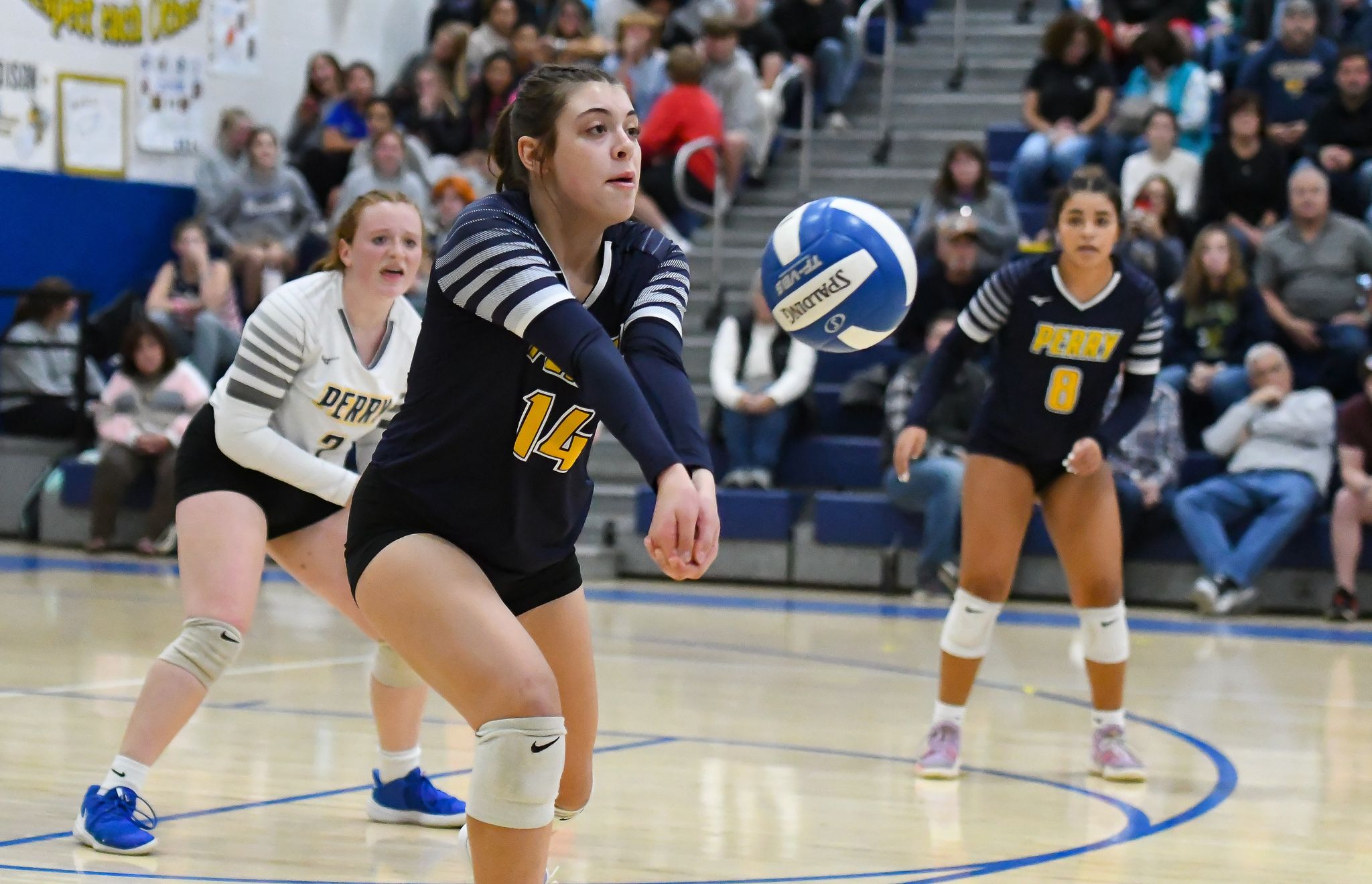 LCAA'S FINEST: Perry volleyball takes D-III title with sweep over York ...