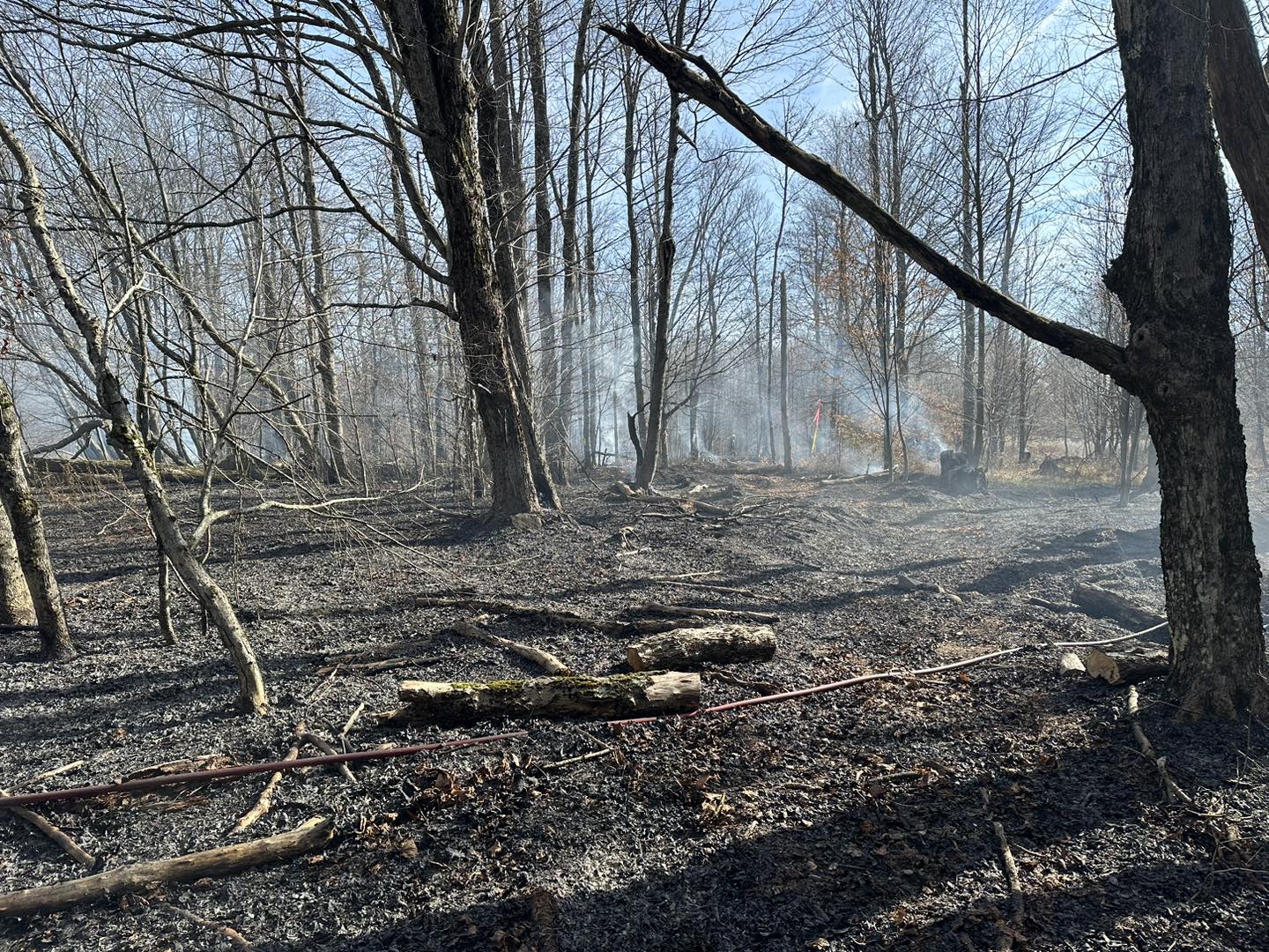 Wildfires in Allegany County: Alma Hill and Caneadea woods fire test ...