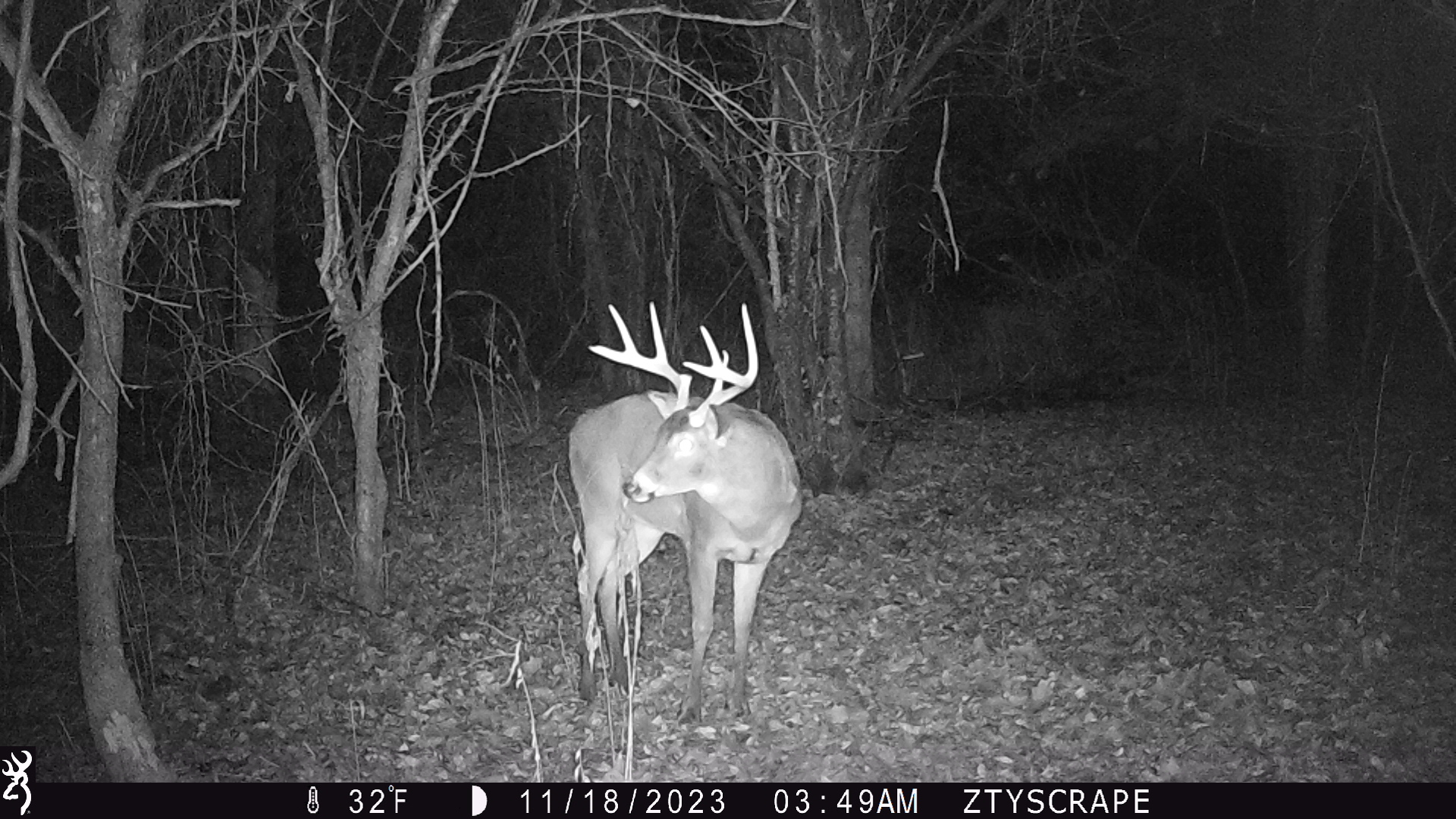 In the Outdoors: Lockdown makes for tough hunting - The HORNELL SUN