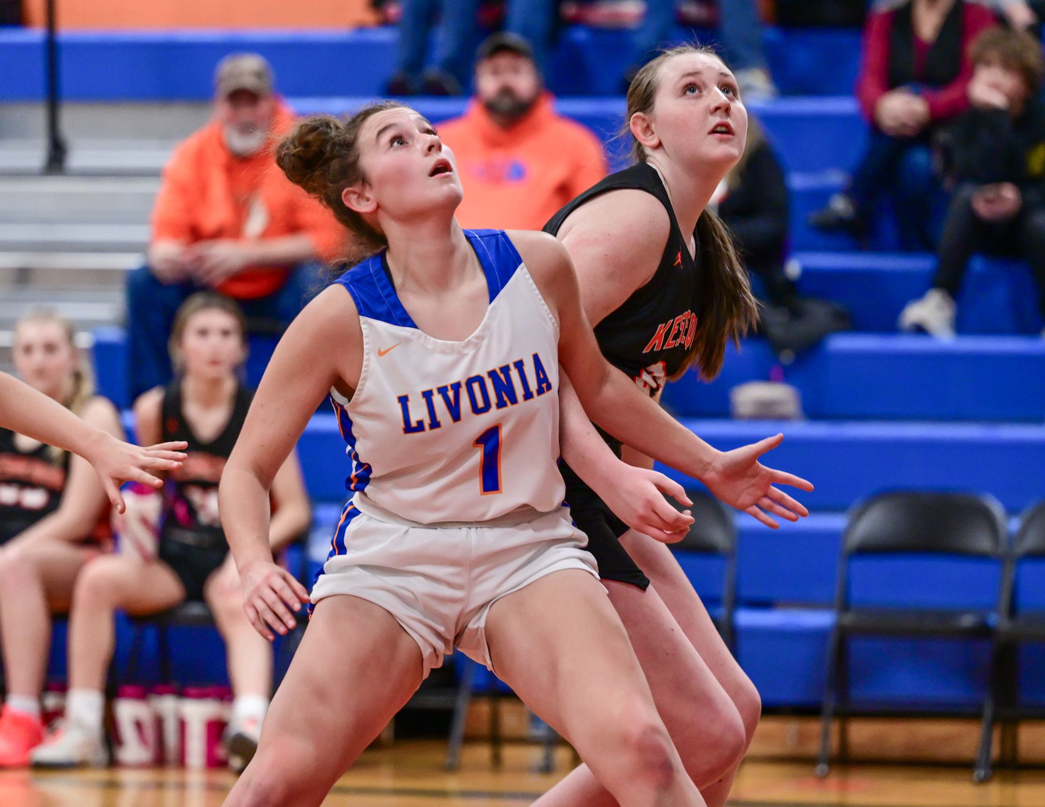 LCAA’S FINEST: Keshequa, Cal-Mum, Dansville, Le Roy girls all ...