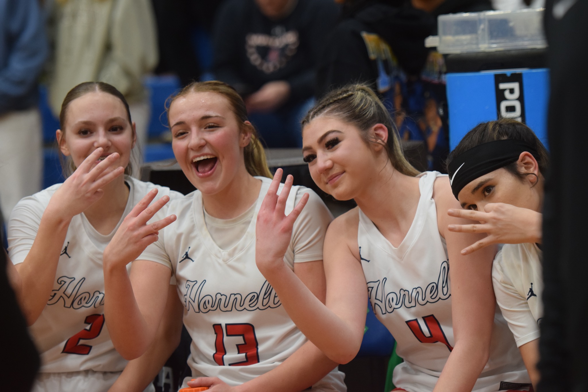 All-State announced for New York girls' basketball as four Hornell Red ...