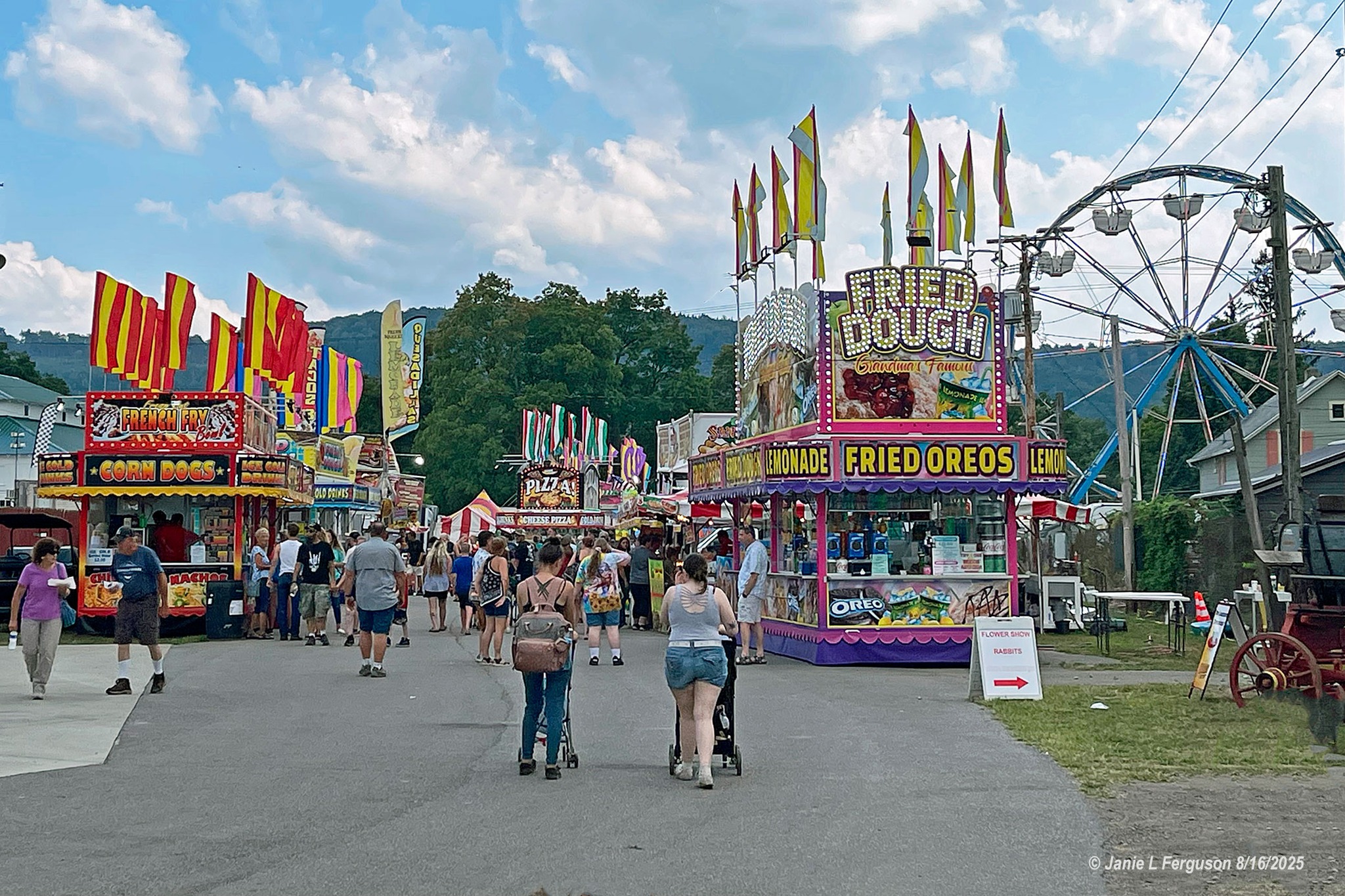 A look back at the Steuben County Fair 2025 - The HORNELL SUN