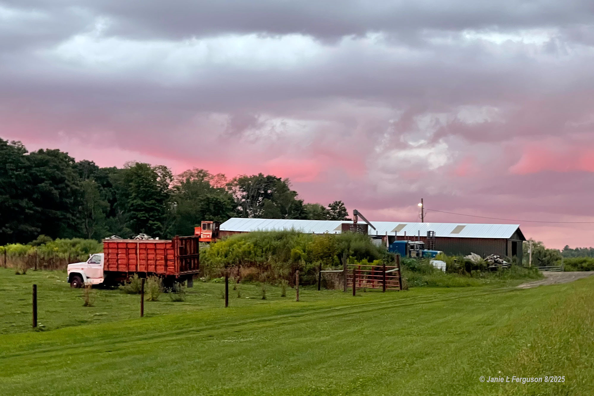 Feathered Friends, A Subtle Sunset, and a Whimsical Mural, too! - The ...