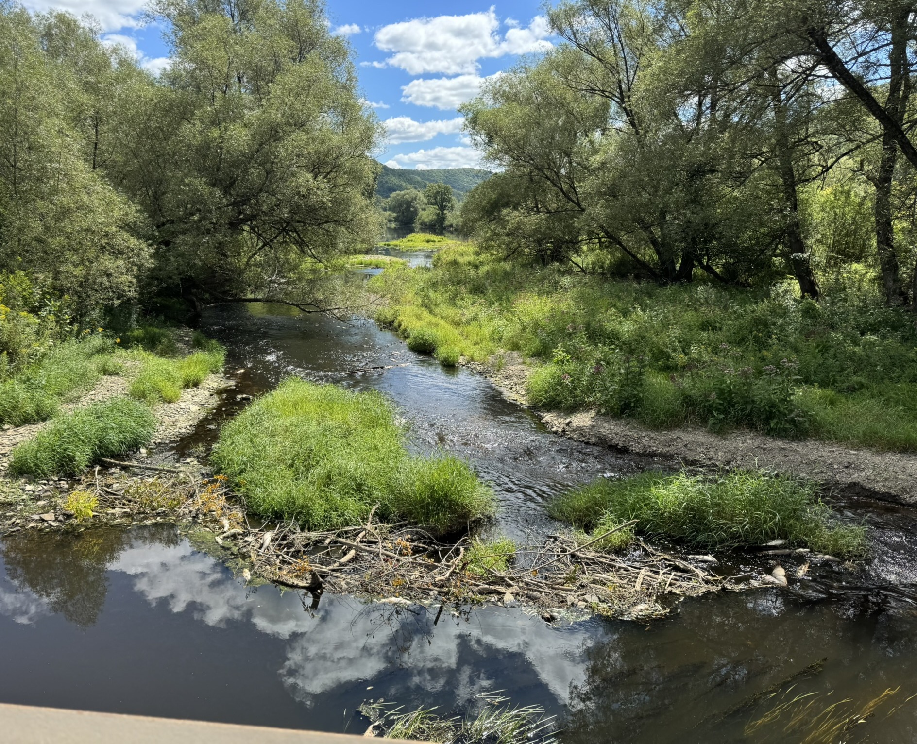 Ischua Creek Helped Me Heal, and the Spill That Took Its Breath Away ...