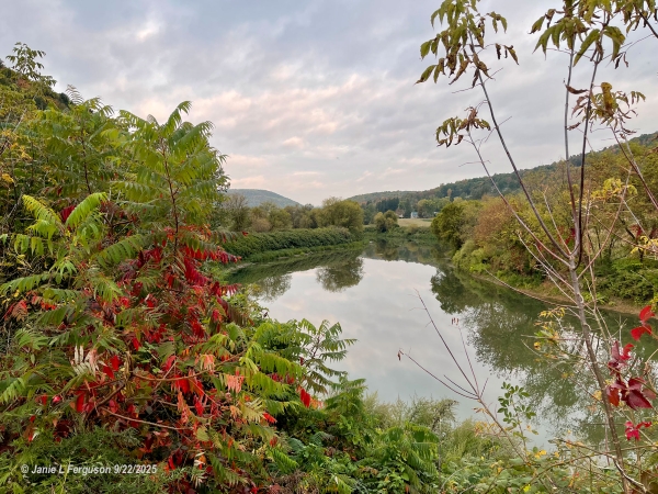 Bishop-Johnson & DeSanto Funeral Home: A Legacy of Compassion and ...